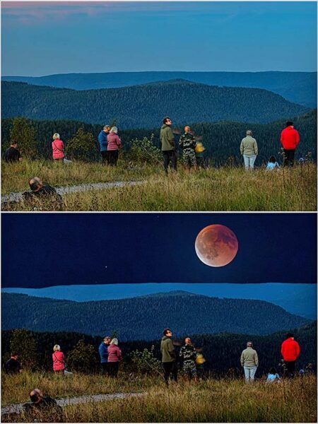 Abby dowse tits her physique features a superb petite